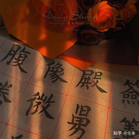 书法打卡 生宣和熟宣的区别怎么选 知乎