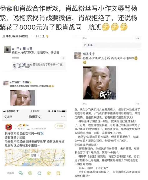 網曝楊紫倒追肖戰問男方拿微信被拒？真相令人哭笑不得 每日頭條