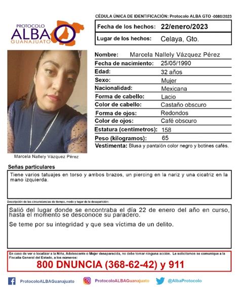 Van Cuerpos Hallados En Fosa Clandestina De Guanajuato Uno Es De La Jefa De La Polic A