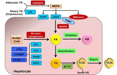 论文发表 医学 第8页 大山谷图库
