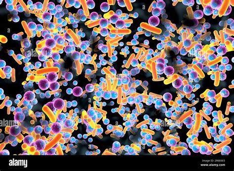 Spherical Bacteria And Rod Shaped Bacteria Inside Biofilm Illustration