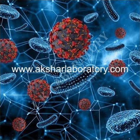 Microbiological Testing Services At Best Price In Pune Maharashtra Elshaddai Aradhna Group