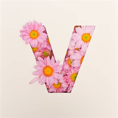 Font Design Abstract Alphabet Font With Pink Flower Realistic