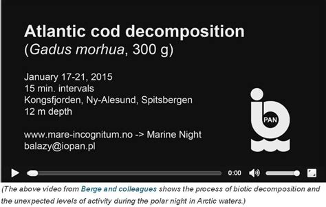 Process Of Biotic Decomposition And The Unexpected Levels Of Activity