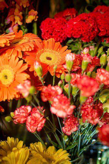 Oito dicas para fazer suas flores durarem mais em qualquer estação