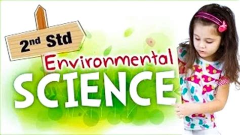 Evs Worksheet For Class 2