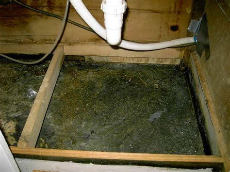 Mold Under Sink DIY Home Improvement Forum