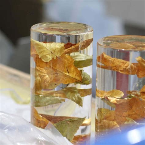 Acrylic Embedment By Midton Global Leaders In Custom Acrylic