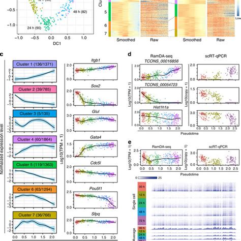 Ramda Seq Analyses Of Cell Differentiation A A Diffusion Map Of The Download Scientific