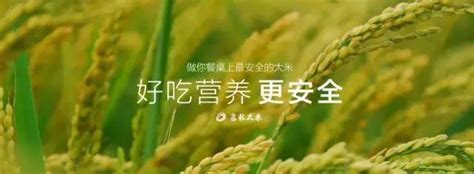 特產這是一篇飄著米飯香的最全吉林大米官方科普帖 每日頭條