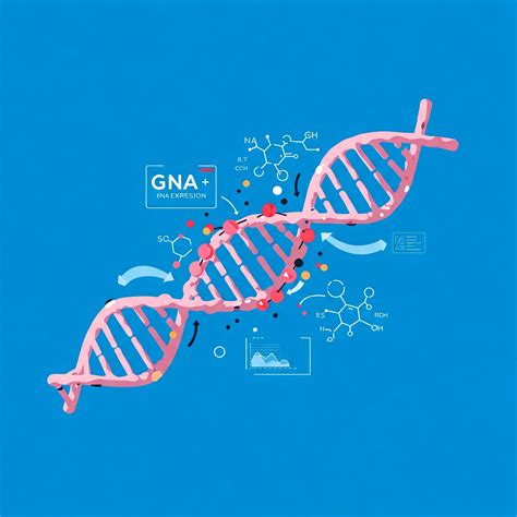 🚀 projects amirhosein ebrahimi