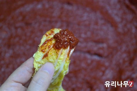 절임배추 40키로 김장김치 양념 비율 적어봤어요~ 네이버 블로그