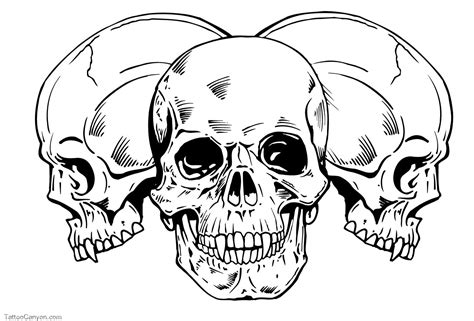 Skull With Butterfly Wings Tattoo Meaning Picture 3441 Skull Sketch