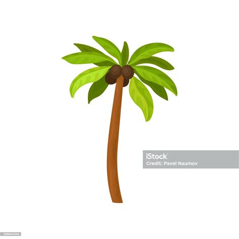 코코넛 열매와 녹색 잎 큰 야 자 나무 모바일 게임에 대 한 조 경 요소입니다 열 대 식물입니다 평면 벡터 아이콘 0명에 대한