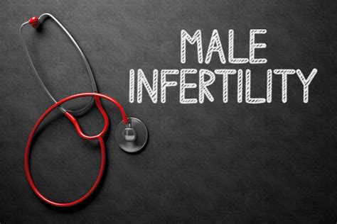13 Risk Factors Linked To Infertility In Males Supplement Rant Male