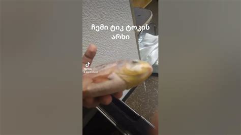 გამოიწერეთ არხი ️ Youtube