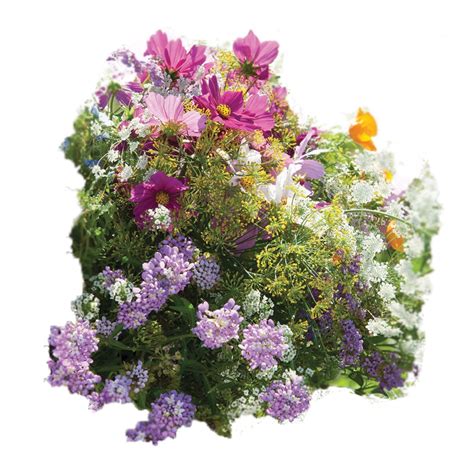 Shop True Garden Shop True Garden