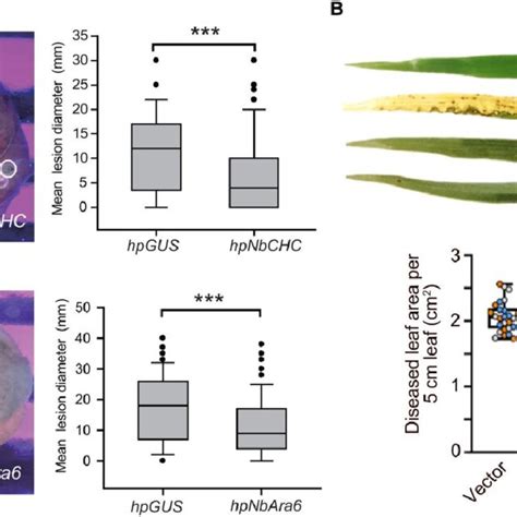 Figure Silencing Of Clathrin Mediated Endocytosis In Host Plants