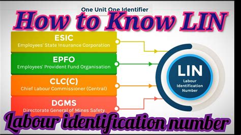 How To Check Lin Online How To Know Lin Labour Identification Number Online Kaise Jane Youtube
