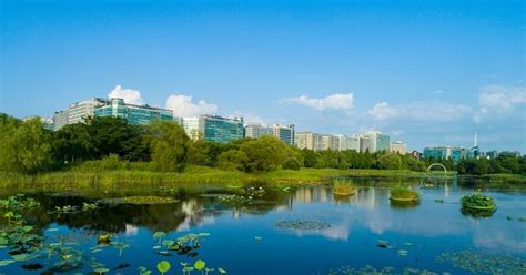 일산호수공원 40대 여성 시신 발견돼…사망 원인은