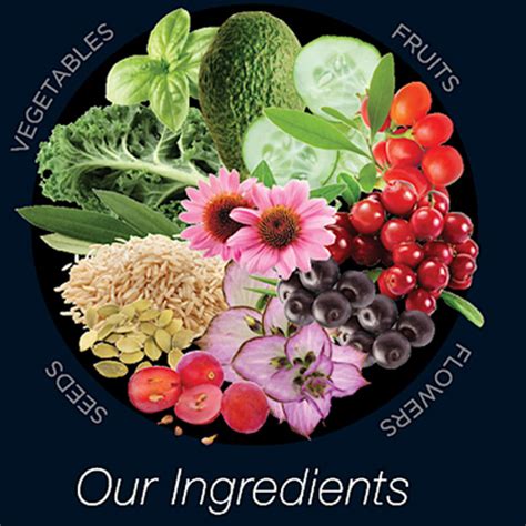 Elements Conditioner 26ml X 100 Hotel Products Direct