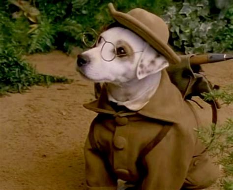 Just Some Cute Wishbone Costumes Including Journey To The Center Of