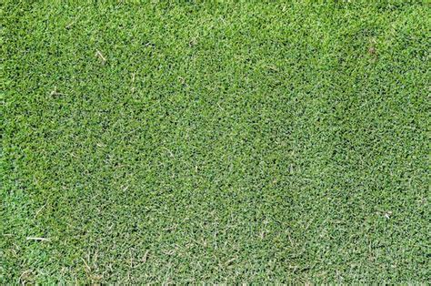 Premium Photo Artificial Grass Texture For Background