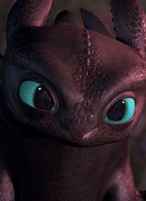 إثبات أن أبوسن أقوى تنين فالسلسلة كرتون Amino Amino