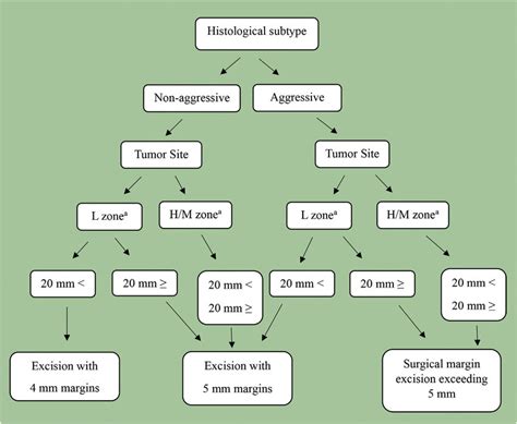 Algorithm For Optimal Surgical Margin Of Primary Basal Cell Carcinoma