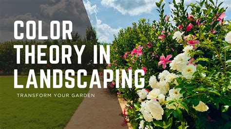 How To Use Color Theory In Landscaping To Transform Your Kenyan Garden