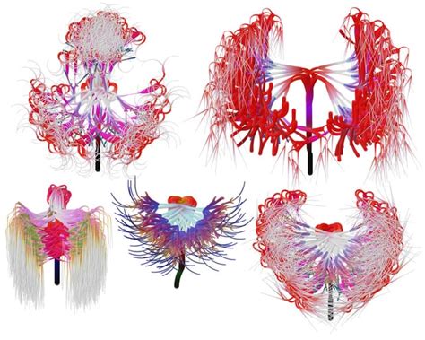 Plants Generated By The Algorithm It Is Possible To Cross Them To Get New Ones R Generative