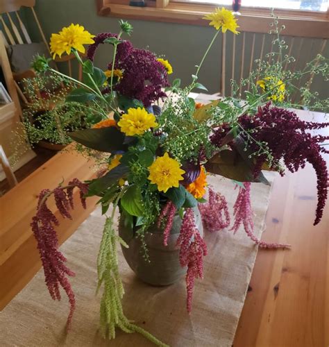 Grow Sweet Annie For Fresh Or Dried Bouquets And Wreaths