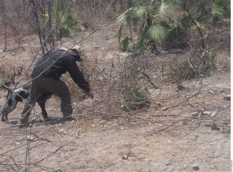 Fosas Clandestinas En México Hallan 2 Mil 441 Durante Gobierno De 4t