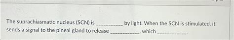 Solved The Suprachiasmatic Nucleus Scn ﻿is By Light When