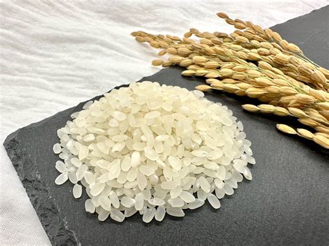 令和6年産 ミルキークイーン 1kg 1〜3袋ご注文用） Kometora