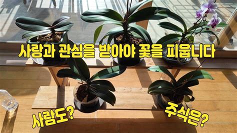 사랑과 관심을 받아야 꽃을 피웁니다 Youtube