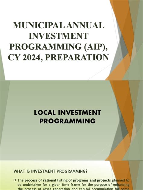 Investment Programming Pdf Budget Infrastructure