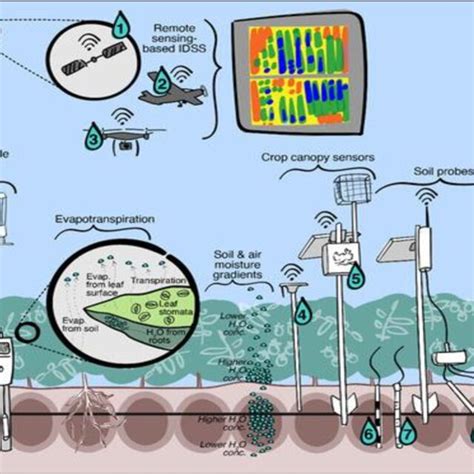 Conceptual Illustration Of Dss 9 Download Scientific Diagram
