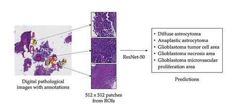 Deep Residual Learning Based Classification With Identification Of