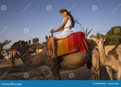 Tourist On A Dromedary Or Camel In The Desert Of The Palm Grove Of
