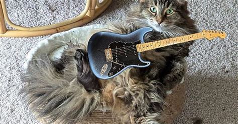 Jam Album On Imgur