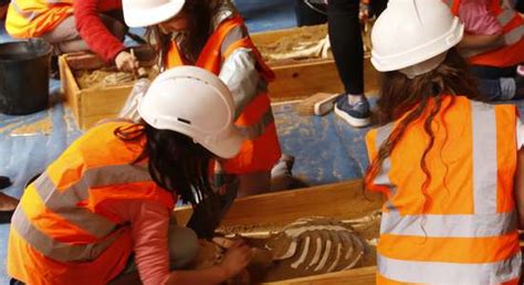 Découverte Du Haut Moyen Âge Echosciences Occitanie
