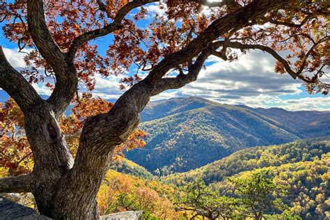 Asheville Fall Foliage The Most Colorful In The Country
