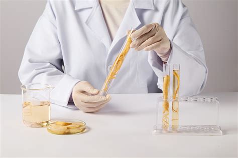 정면에서 본 실험실 개념의 인삼 사진 프레임 중앙에는 인삼 뿌리가 담긴 시험관이 연구원의 양손으로 들고 있으며 흰색 테이블