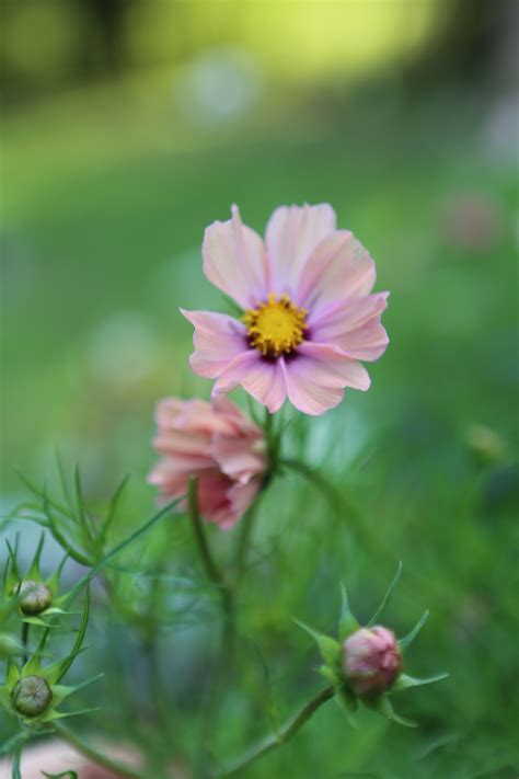 Home - The Belle Blog