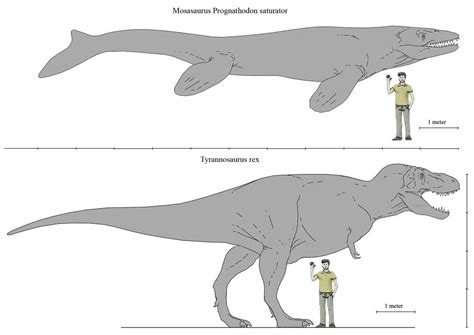 Mosasaurus Size Comparison