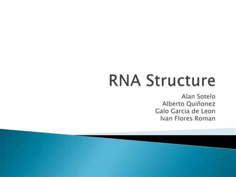 Rna Classthe Classification Of Rna Pdf