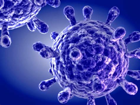 Enfermedad De Alzheimer Citomegalovirus Y Enfermedad De Alzheimer