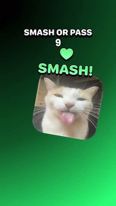 Smash Or Pass Cats Spongebob Mrkrabs Cartoon Youtube