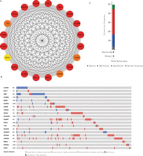 Hub Genes And Their Genetic Alterations Identification A The Top 20